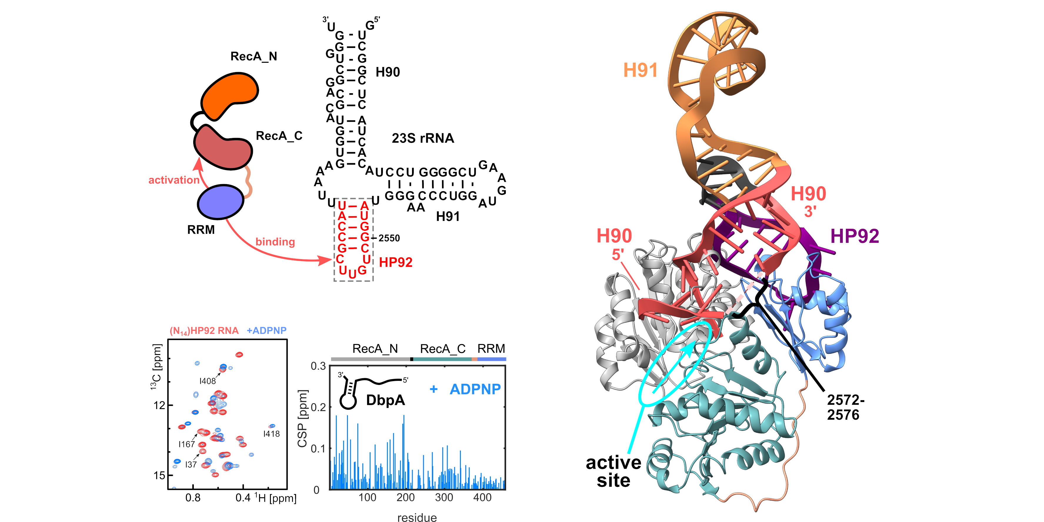 Regensburg Center for Biochemistry